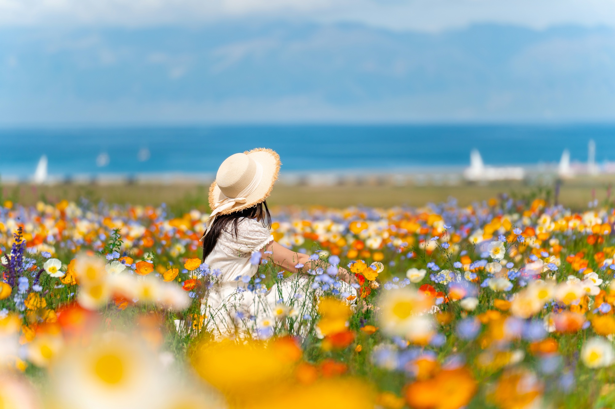 Foto-roteiro – Alentejo em Flor - Terratur